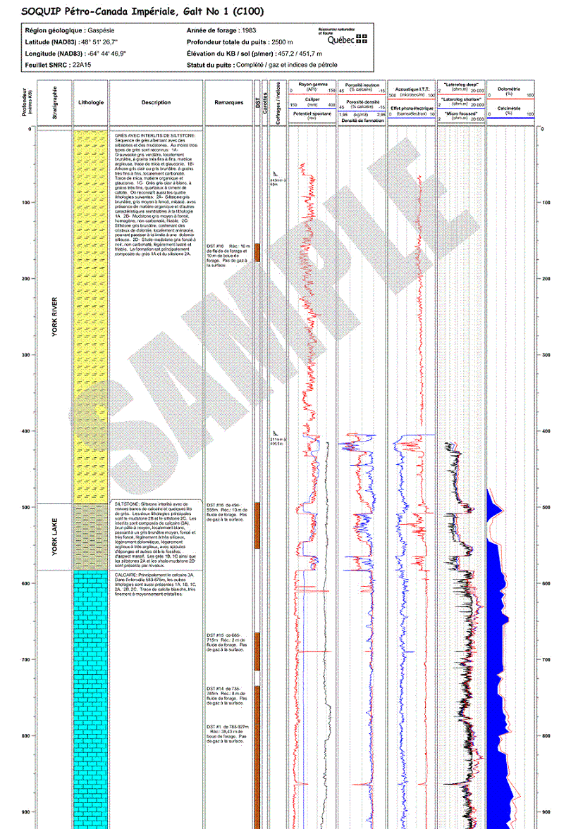 Example of composite log - Well Quebec Natural Gaz, St-François-de ...